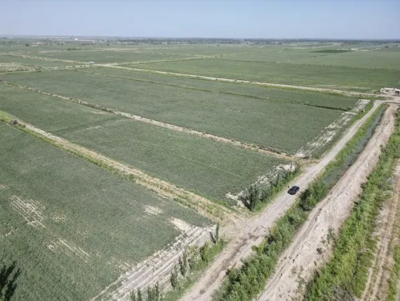 Wondrous Xinjiang: Tech-savvy farmer sows seeds of hope in cotton ...