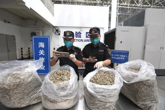 China has customs inspection, quarantine cooperation with 171 countries ...