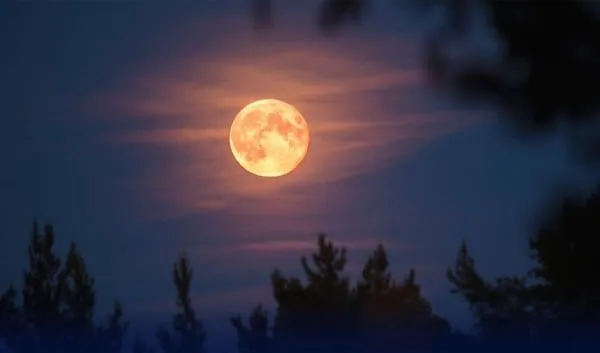 Huge blobs in Earth’s mantle might be relics from moon-forming ...